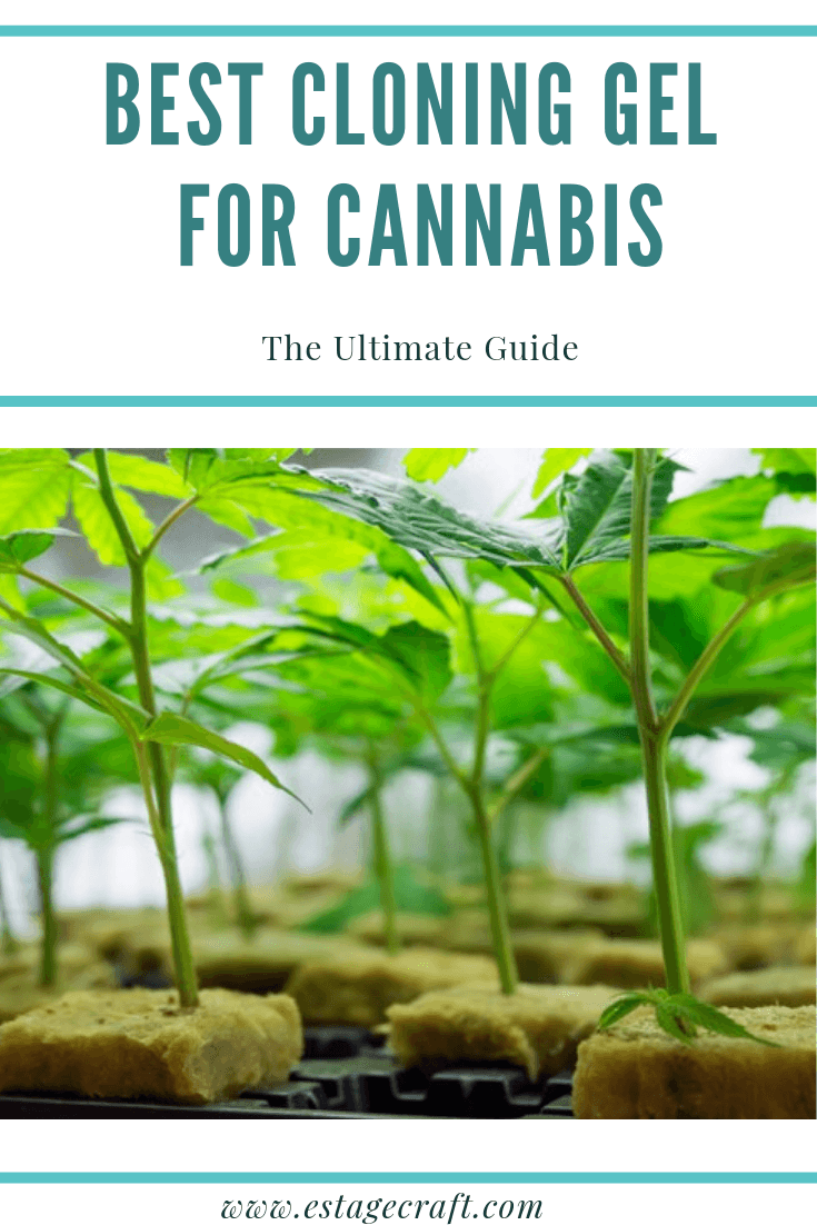 Best Cloning Gel For Growing Cannabis 2021 | ESTAGECRAFT